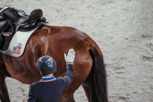 Three Things You Must Have to Become a Good Rider
