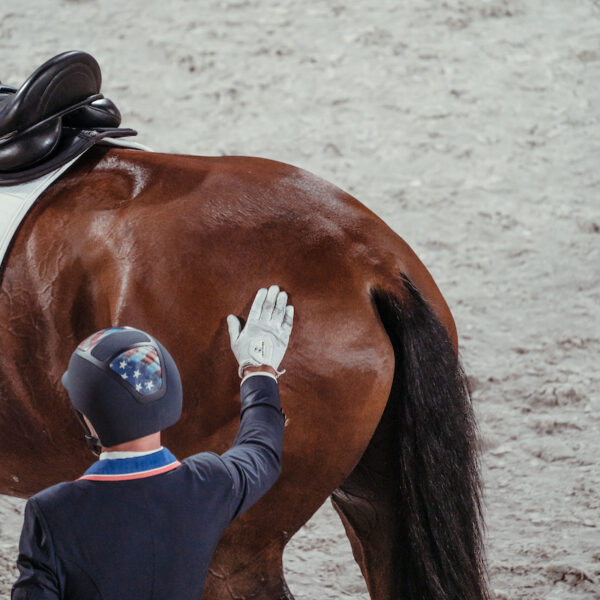 Versace Goes Horse With New Fashion Line