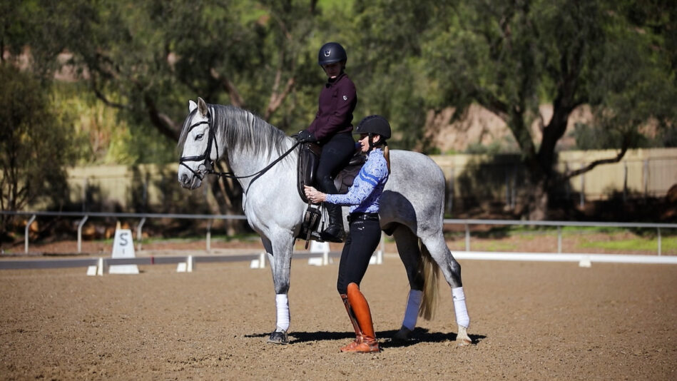 Training Archives | Horse Network