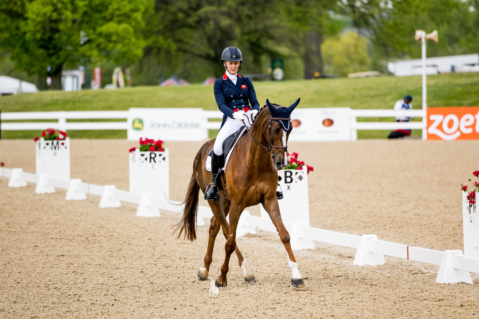 Ingham Throws Down the Gauntlet