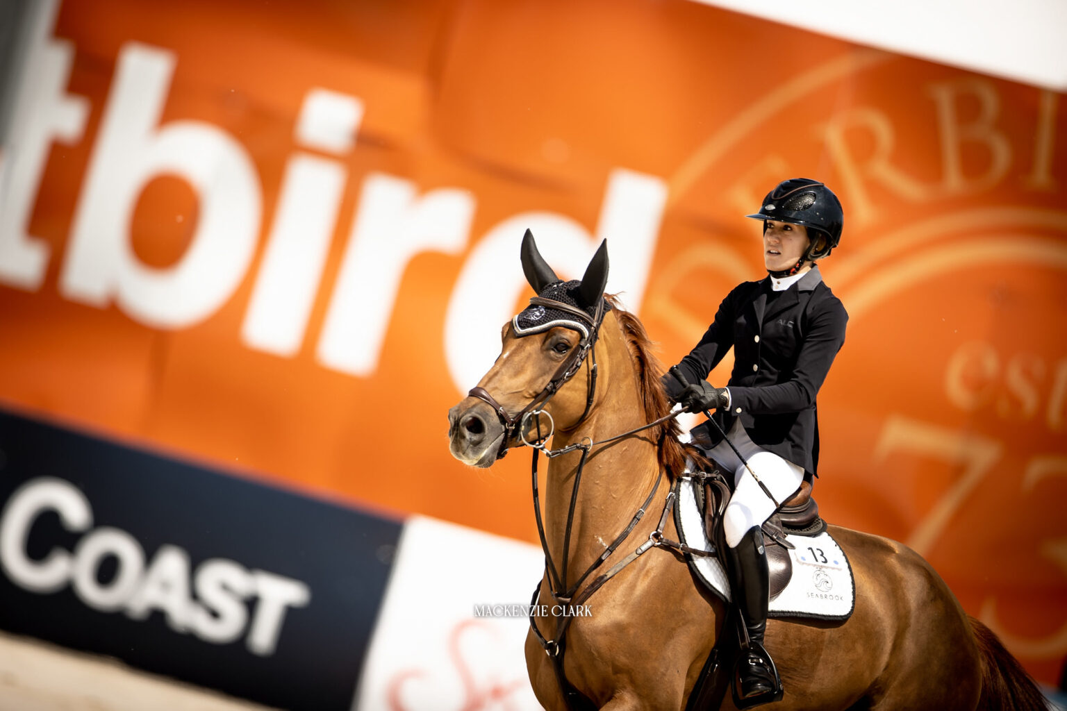 Los jóvenes americanos - todoparamicaballo