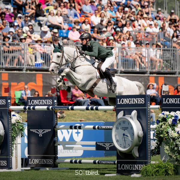 An Excerpt from Hunter Derby, Book 3 of the Show Circuit Series