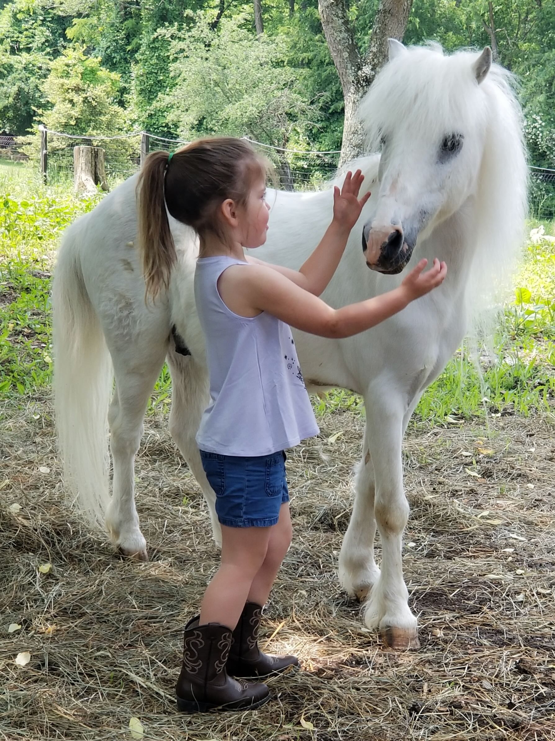 Rio the Reliable Rescue