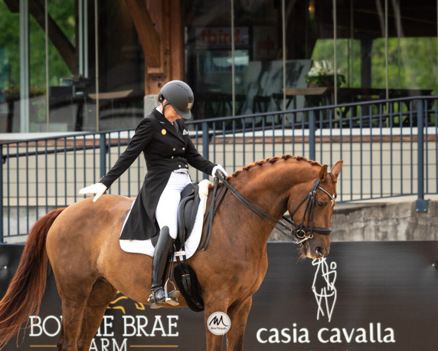 Why Do the Equestrian Events Get So Much Hate at the Olympics?