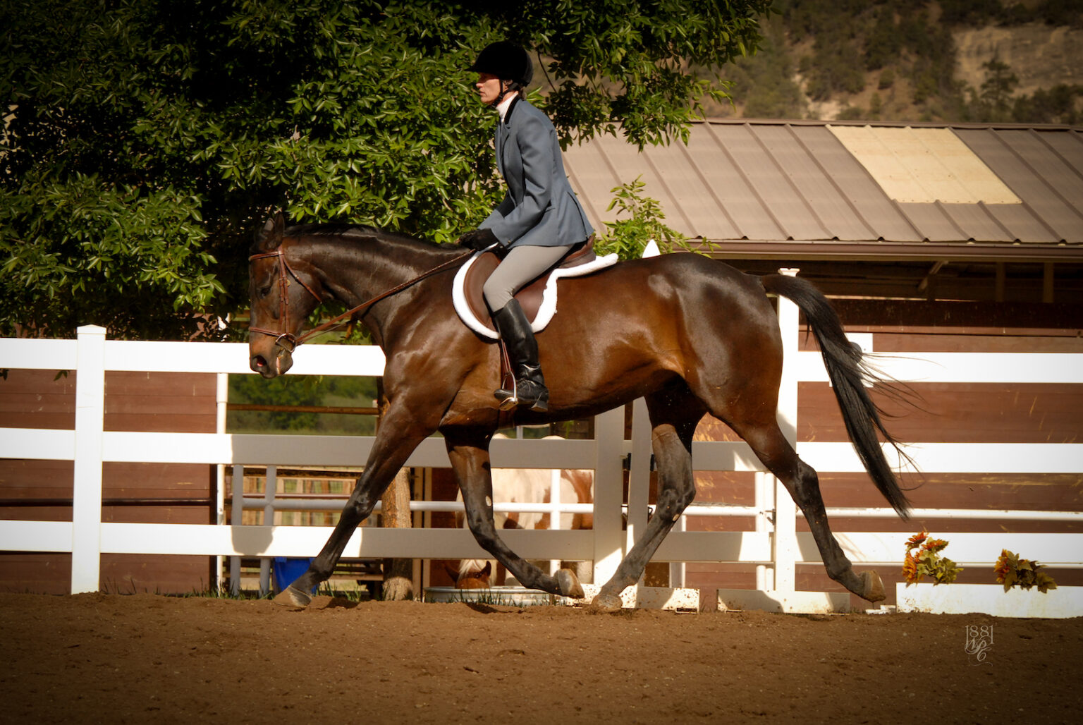 Rounding: Discipline, Conformation, and Behavior