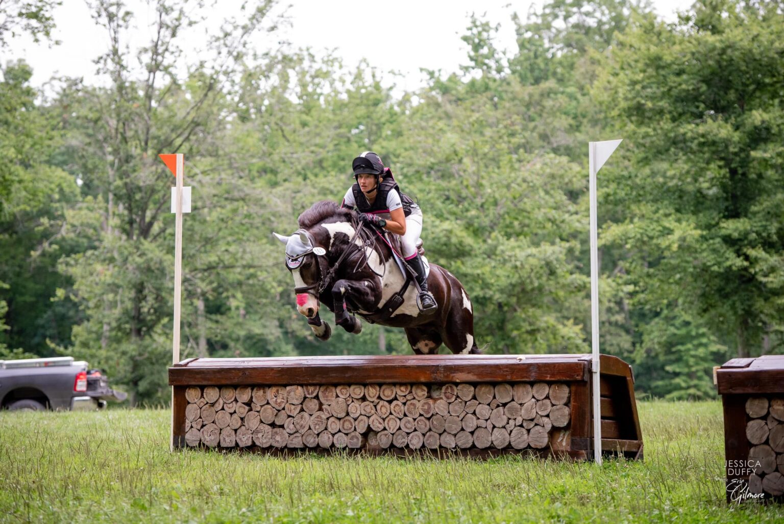 How Mustang Trainer & Mom Ann Hanlin Found Her Calling