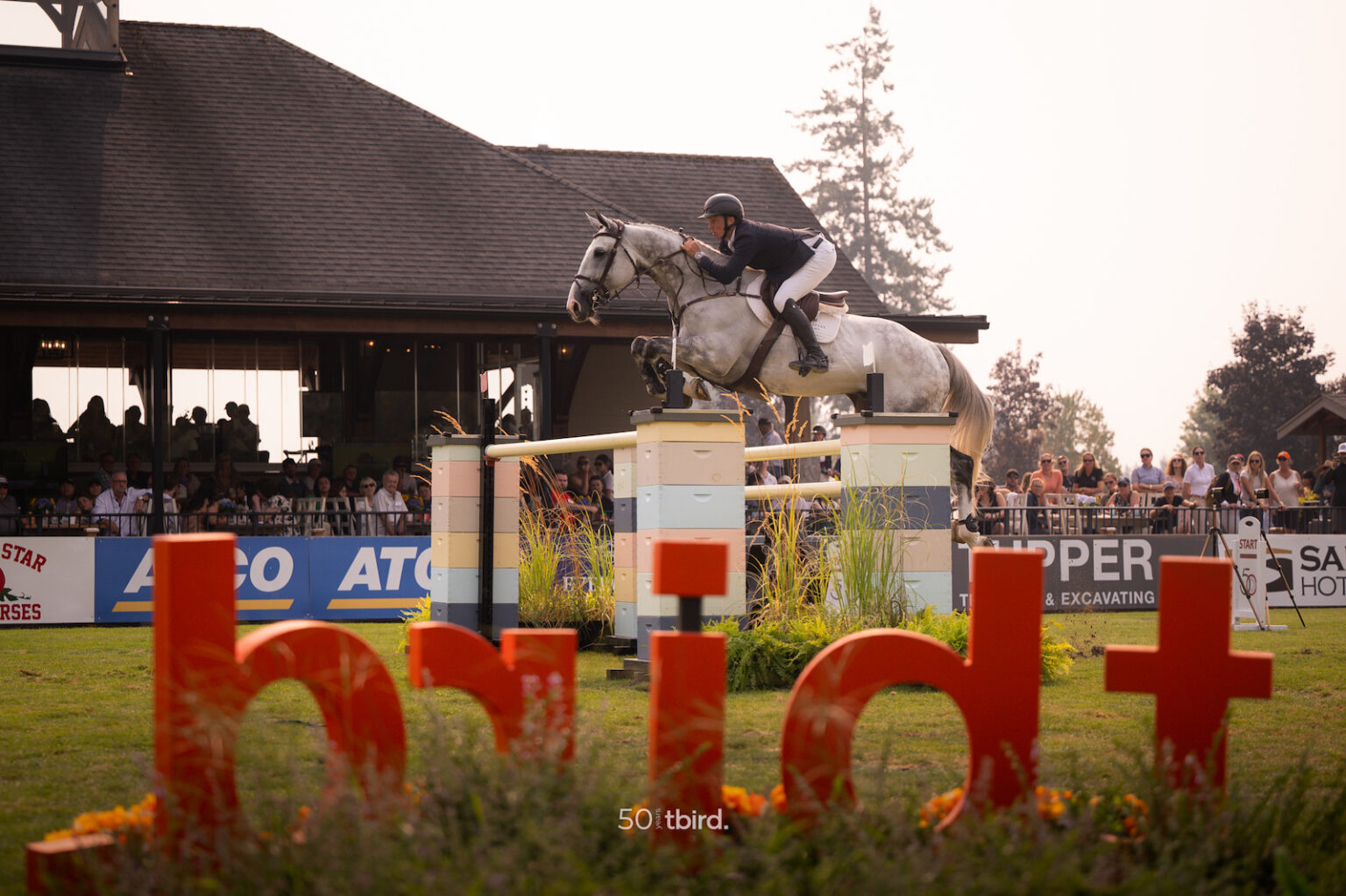 Sampson & Equine America Ivanhoe Take It All in Stride