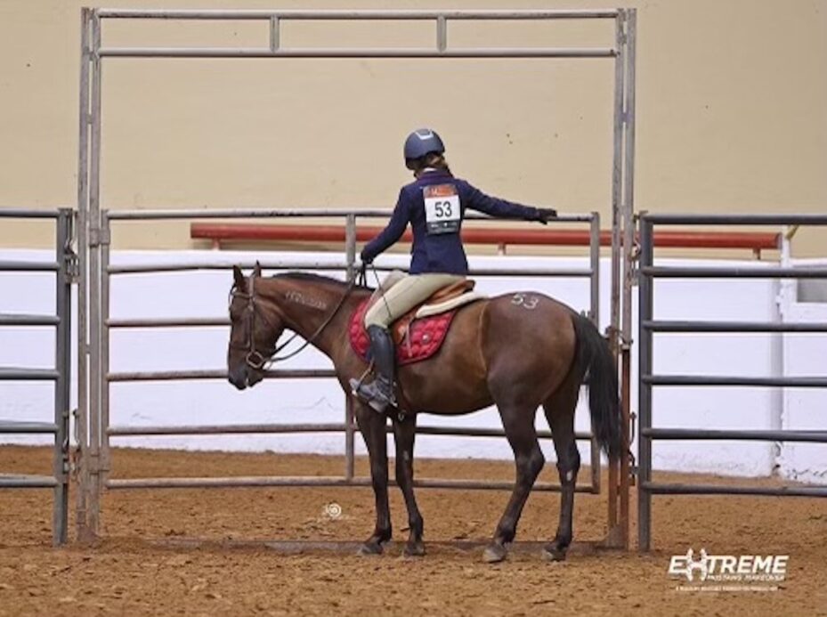 Ohio Trainer Tori Bromme on the Mustang That Stole Her Heart