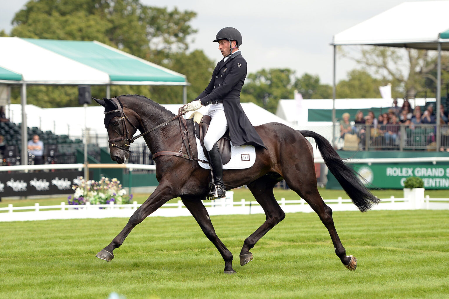 4 Compelling Reasons to Clean Your Gelding’s Sheath (Even If You Really ...