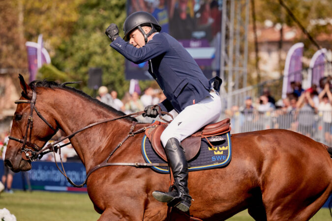 How To Cut a Mane Like a Pro In 7 Steps