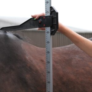 How To Cut a Mane Like a Pro In 7 Steps