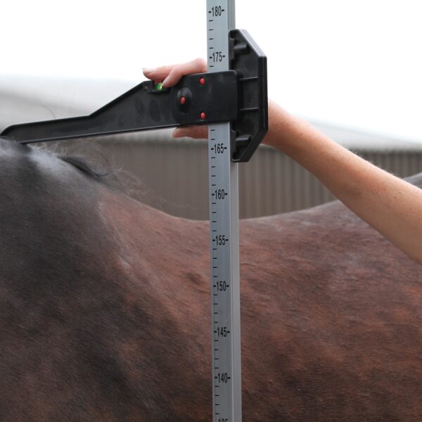 How To Cut a Mane Like a Pro In 7 Steps