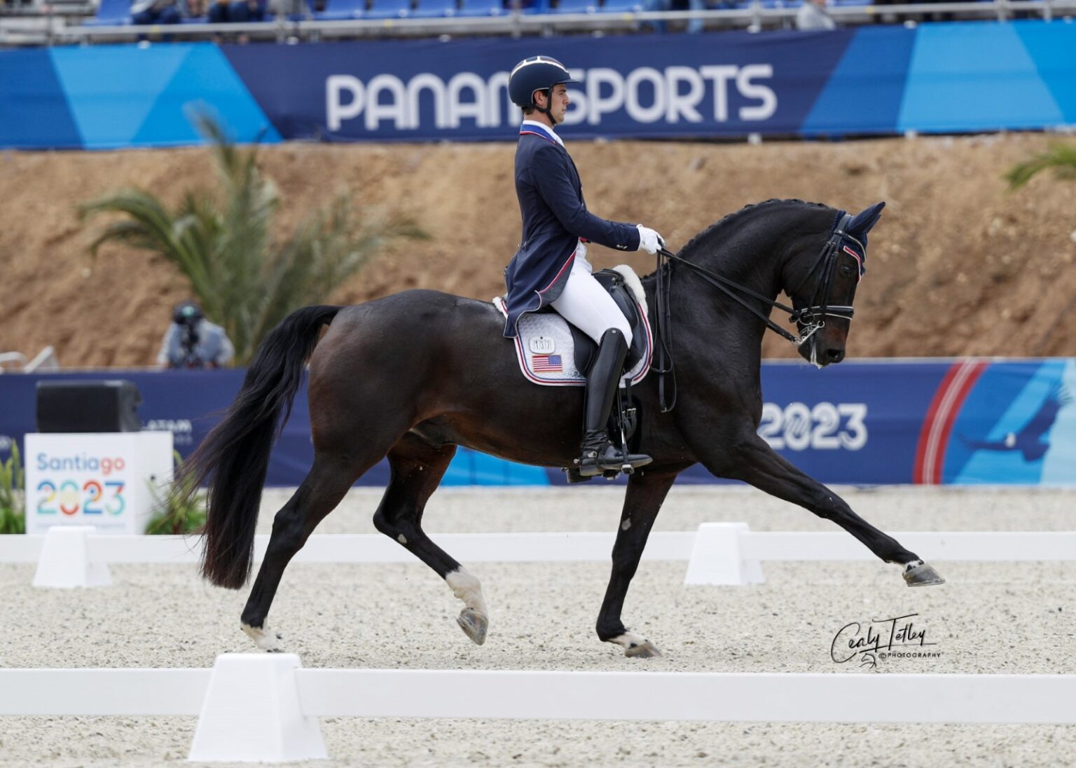 USA's Dressage Team Has Synergy in Santiago