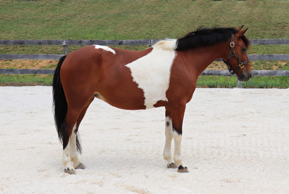 Preparing Ulyssa for a Brighter Journey