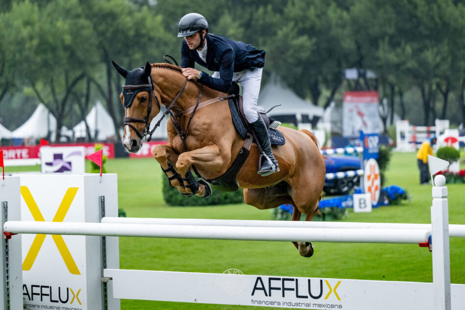 Top 10 Most Exciting Horses to Watch in Show Jumping Right Now