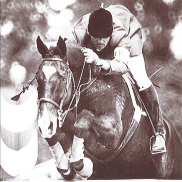 Horse Network | News, Sports, Lifestyle. Everyday.