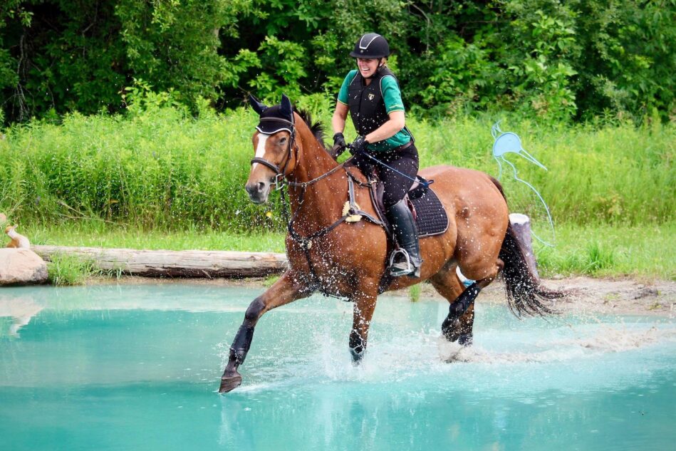 Rehoming Is Where the Heart Is for Southern Belle Thoroughbreds