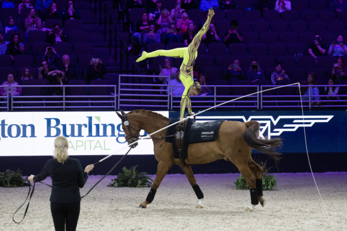 Everything You Need to Know About the FEI Vaulting World Cup Final