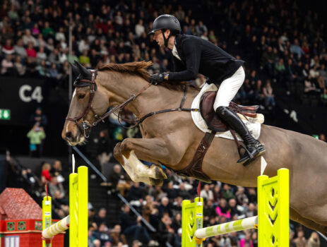 How to Make the Perfect Pony Room