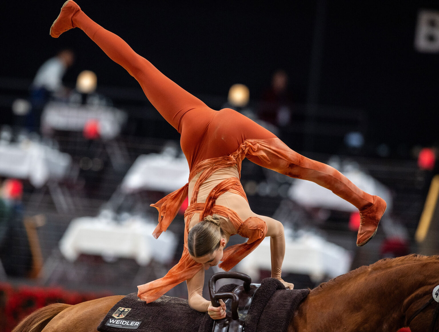 Germany Secures Double-Gold, Italy the Pas de Deux at the FEI Vaulting ...