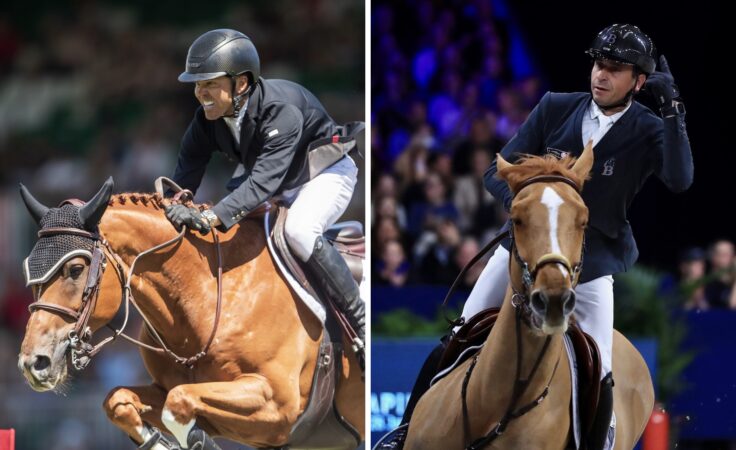 Valegro Returns to Competition, Wins the Grand Prix