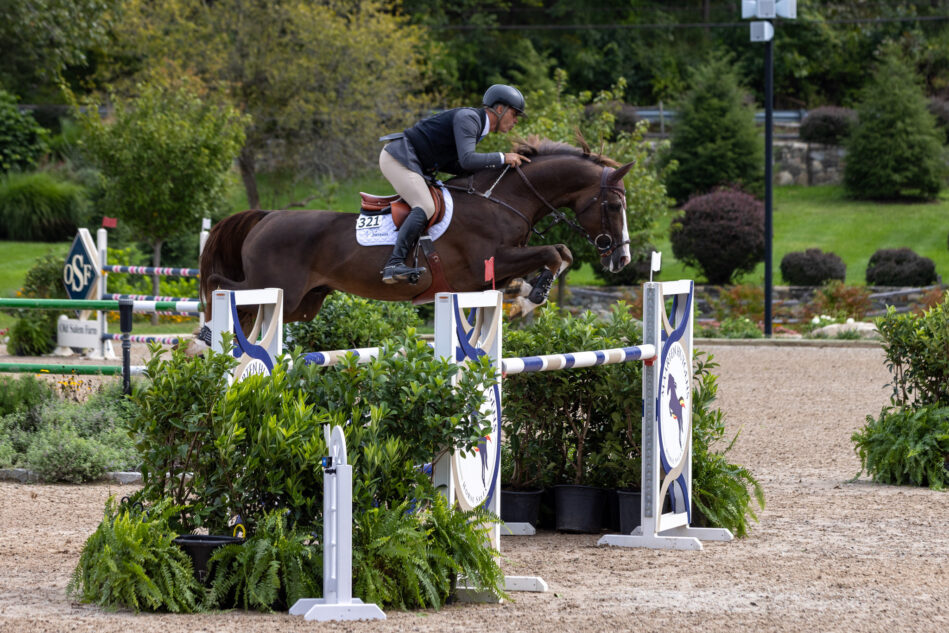 Are Exosomes the Future of Suspensory Injury Healing?