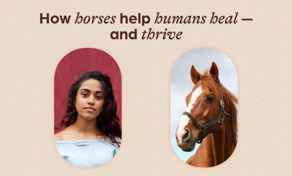 The Power of Horse-Human Connections