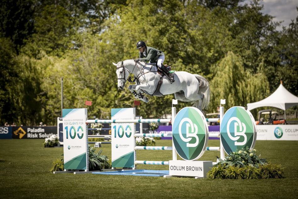 Top 10 Most Exciting Horses to Watch in Show Jumping Right Now