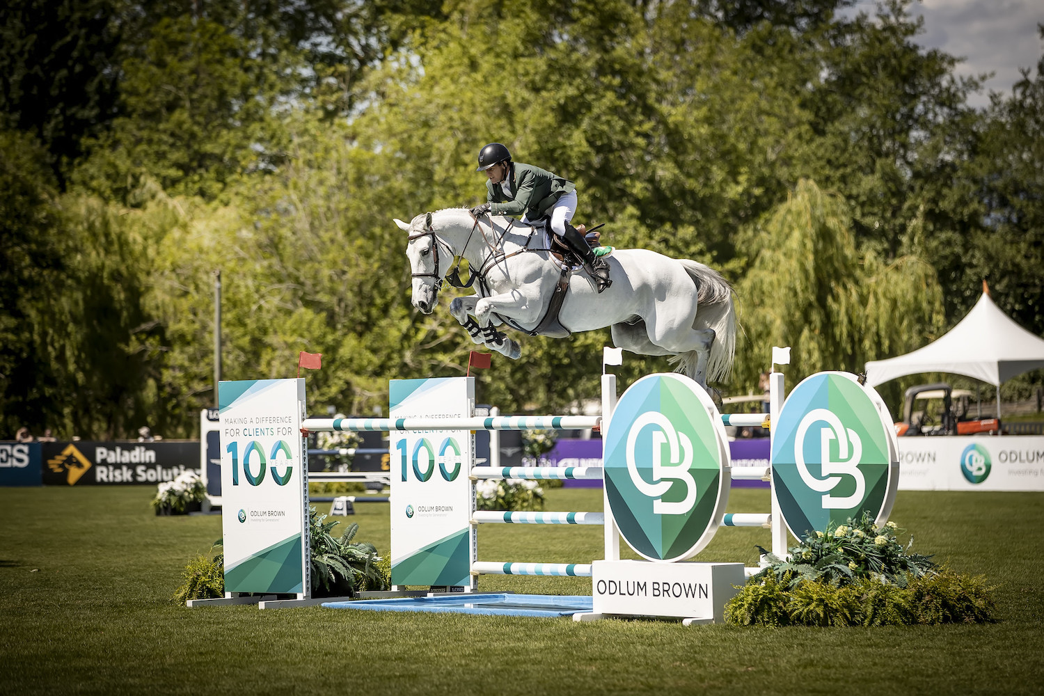 Top 10 Most Exciting Horses to Watch in Show Jumping Right Now