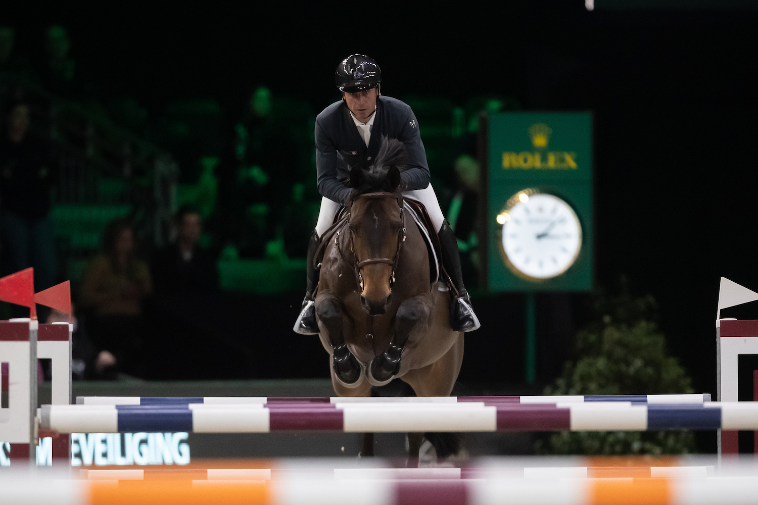 Top 10 Most Exciting Horses to Watch in Show Jumping Right Now
