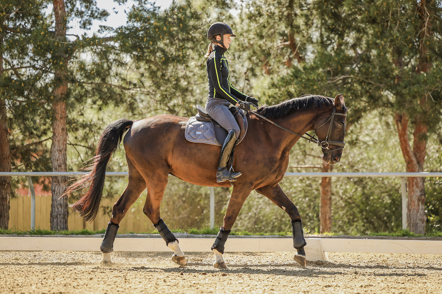 Does your horse stop or slow down when you sit the trot?