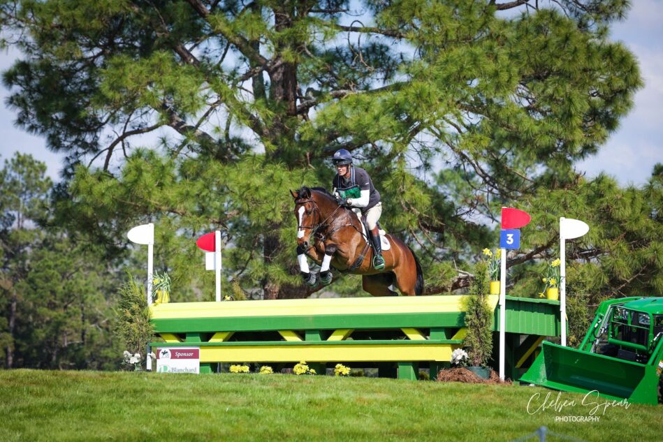 Lessons from Chestnut Horses