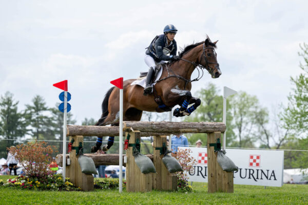 Conditioning for the Older Horse