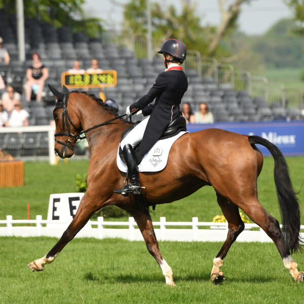 The Art of Seeing Lameness