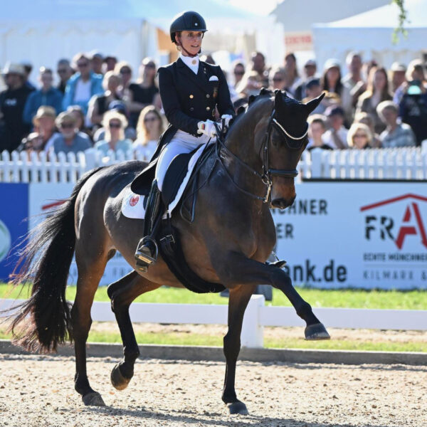 The Art of Seeing Lameness