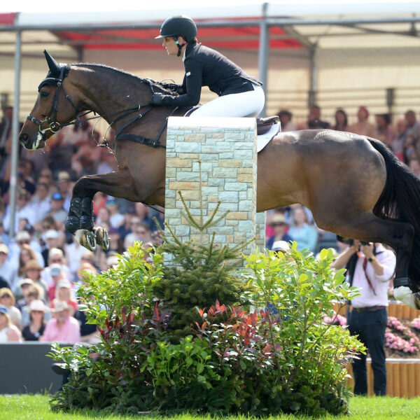 The Art of Seeing Lameness