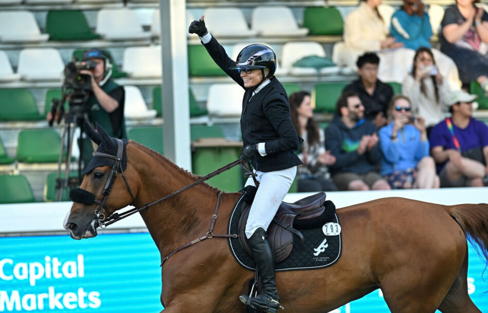 Daydreams of Horse Training