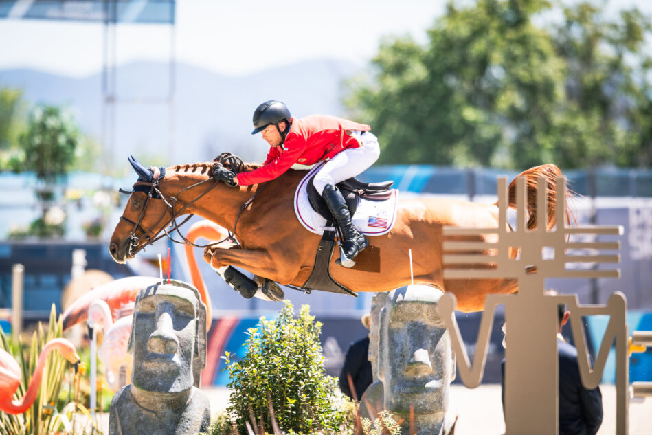 Daydreams of Horse Training