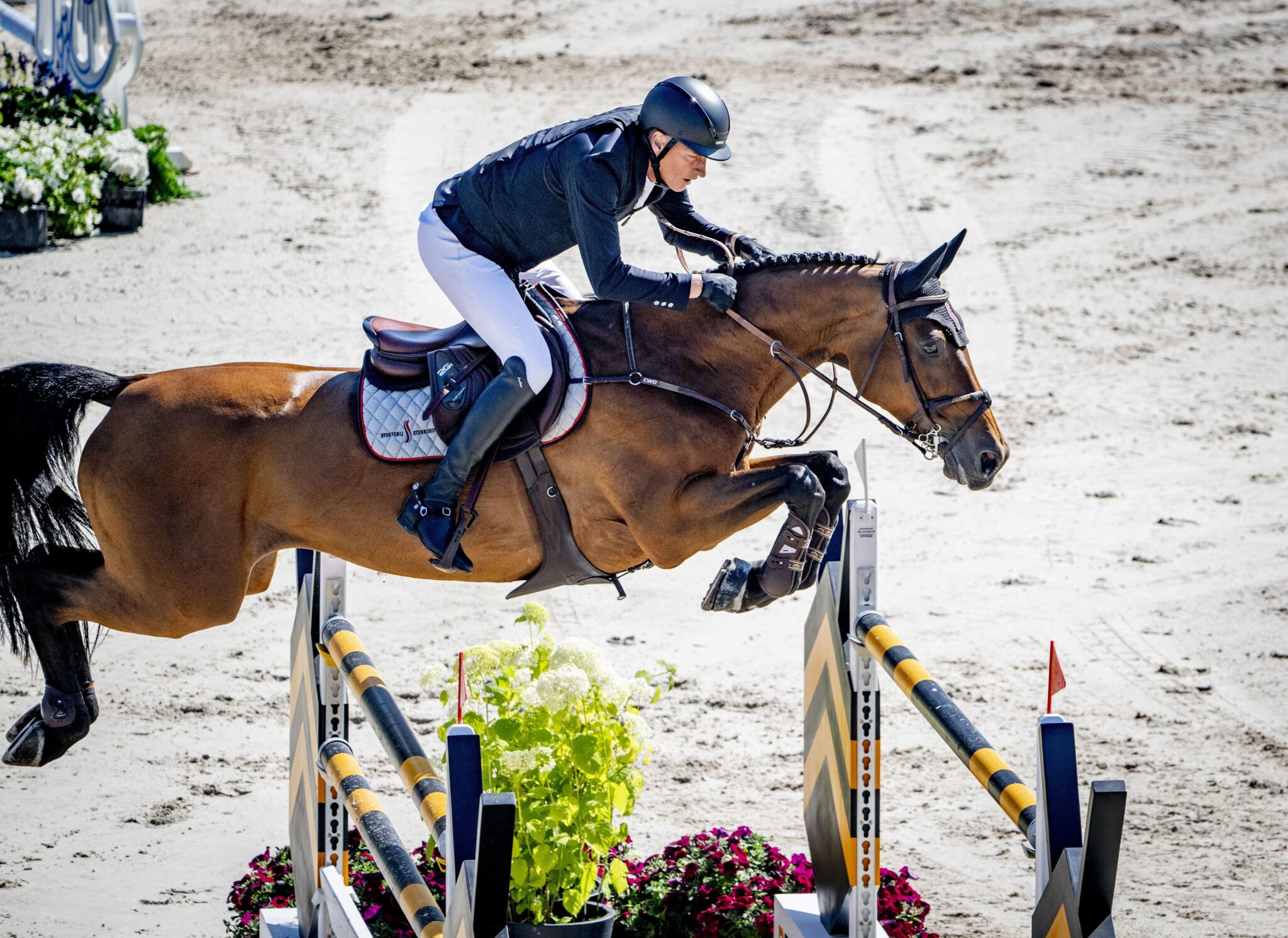 Horse Network | News, Sports, Lifestyle. Everyday.