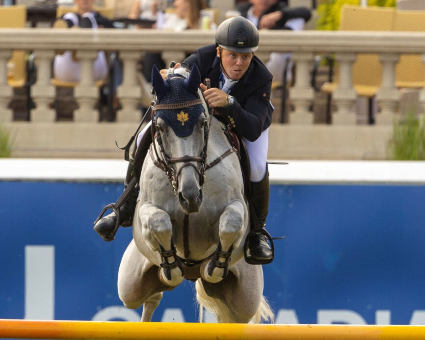 Horse Network | News, Sports, Lifestyle. Everyday.