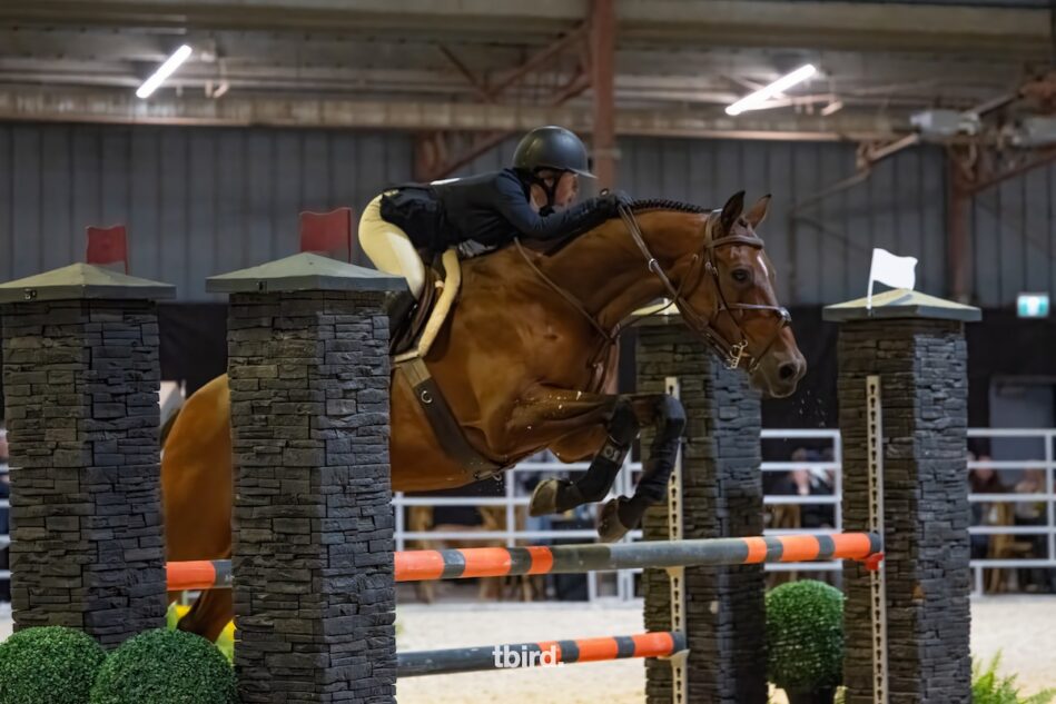 Horse Network | News, Sports, Lifestyle. Everyday.