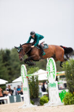 The Difference(s) Between Performance Horses and Other Horses