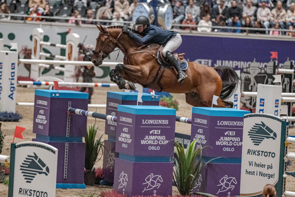 Welcome to the World of Competitive Hobbyhorse