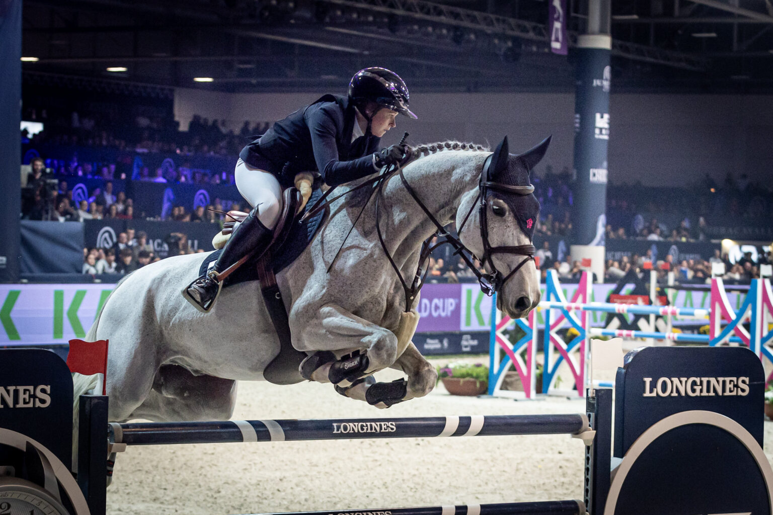 What That Whinny Means