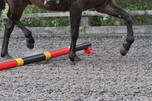 Raising Canter Poles and Finding a Distance