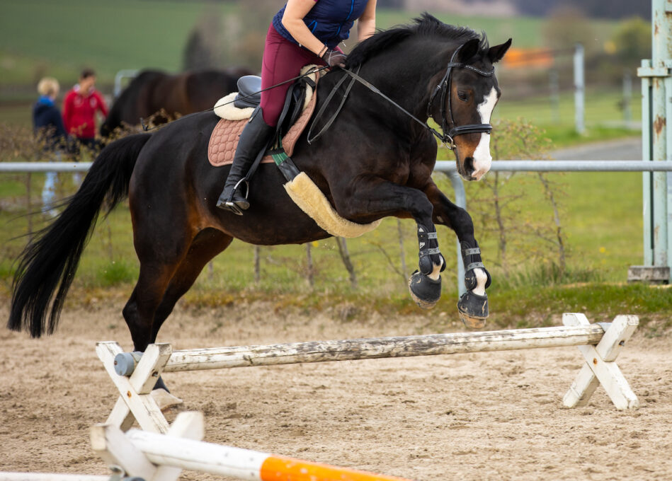 Use Low Hops to Fix Basic Problems