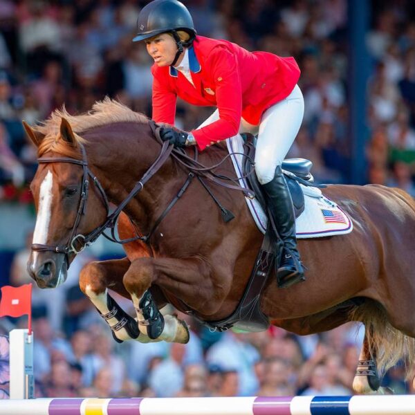 5 Things to Know About George Washington's Horse "Nelson"