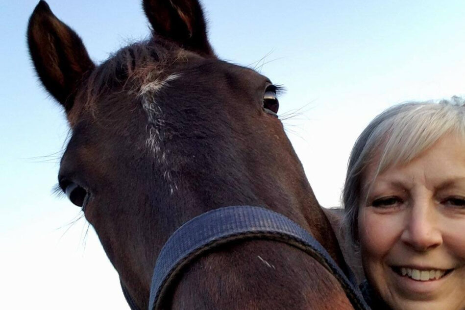 Charlie: The Complex Horse Who Inspired a Retiree Back Into the Saddle ...