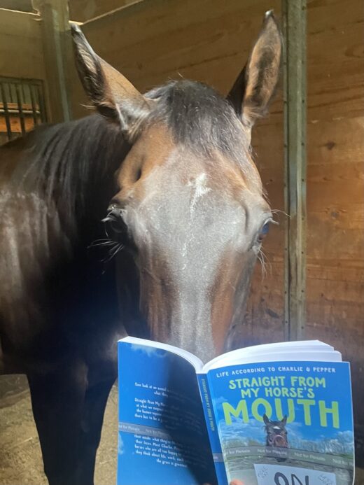 Charlie: The Complex Horse Who Inspired a Retiree Back Into the Saddle ...
