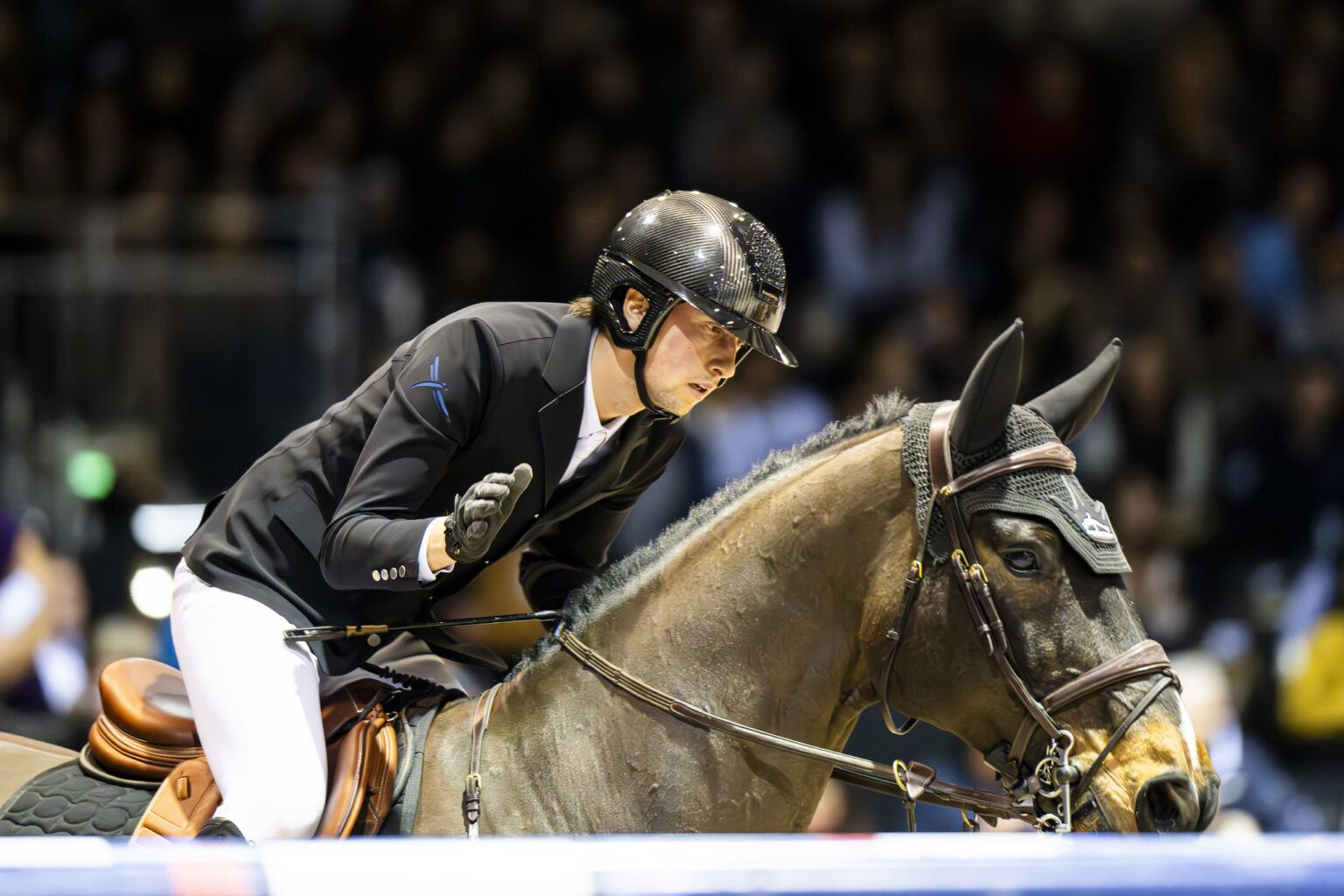 A Brief History on Horse Transport (and Why We're Thankful for the ...